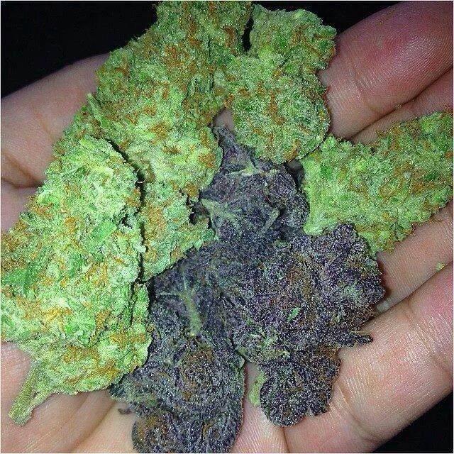 Weed in Luleå - vickzydesires