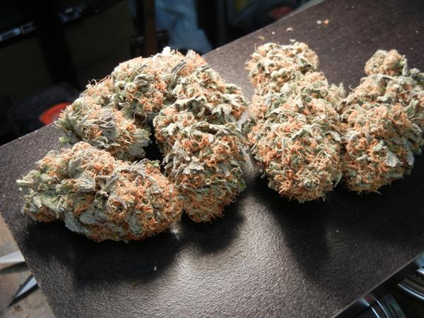 Weed in Marbella - Your ultimate guide